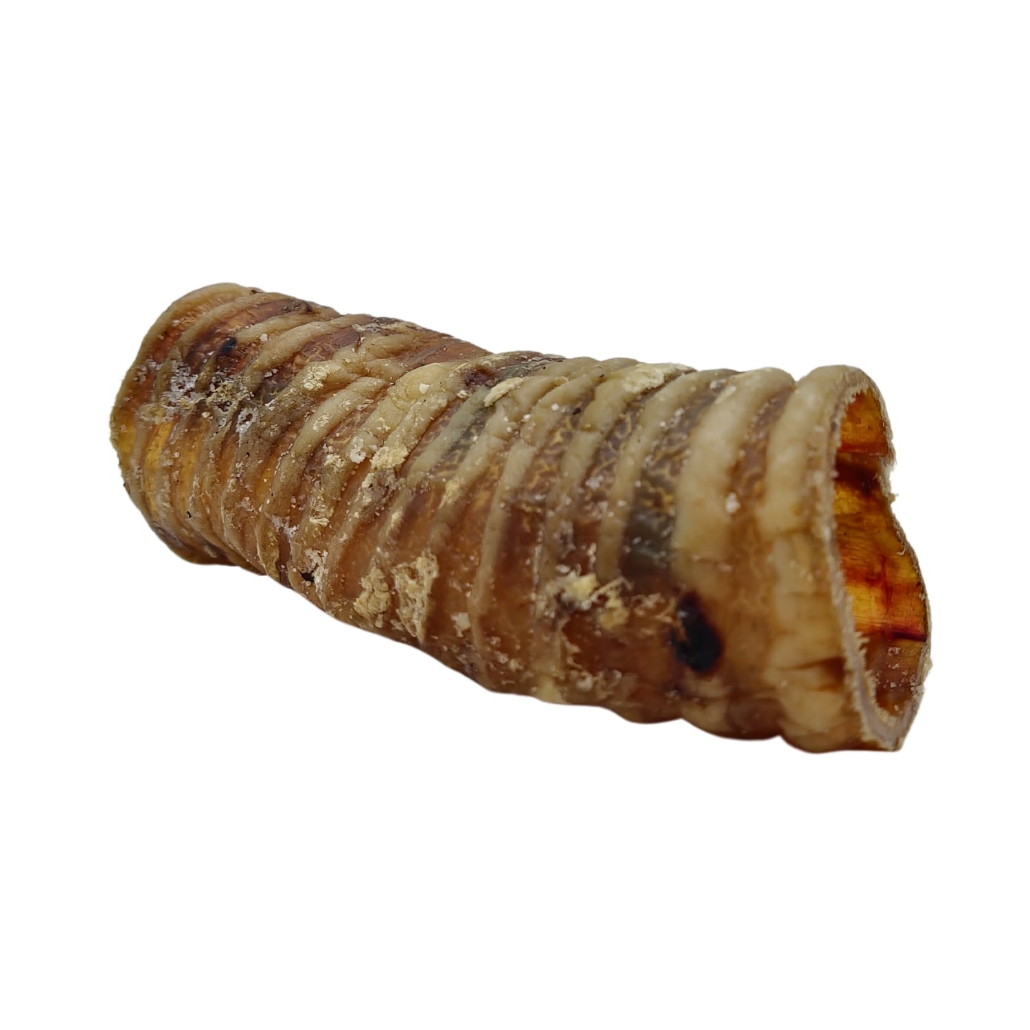 6" Beef Trachea Dog Treat - All-Natural Dog Chews (25/case)